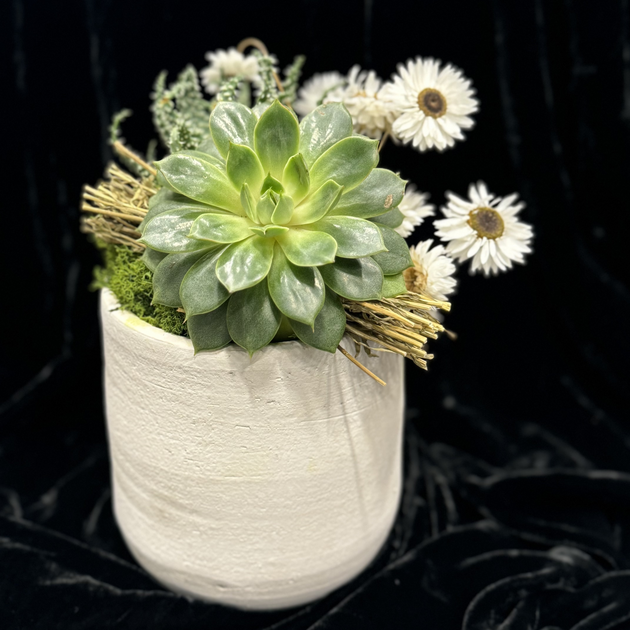 Spa Day – Mayflowers Floral Studio
